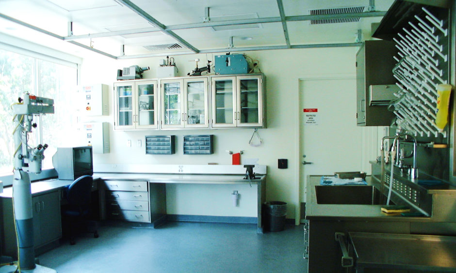 UCSF Koret Vision Research Laboratory - Gonsalves & Stronck